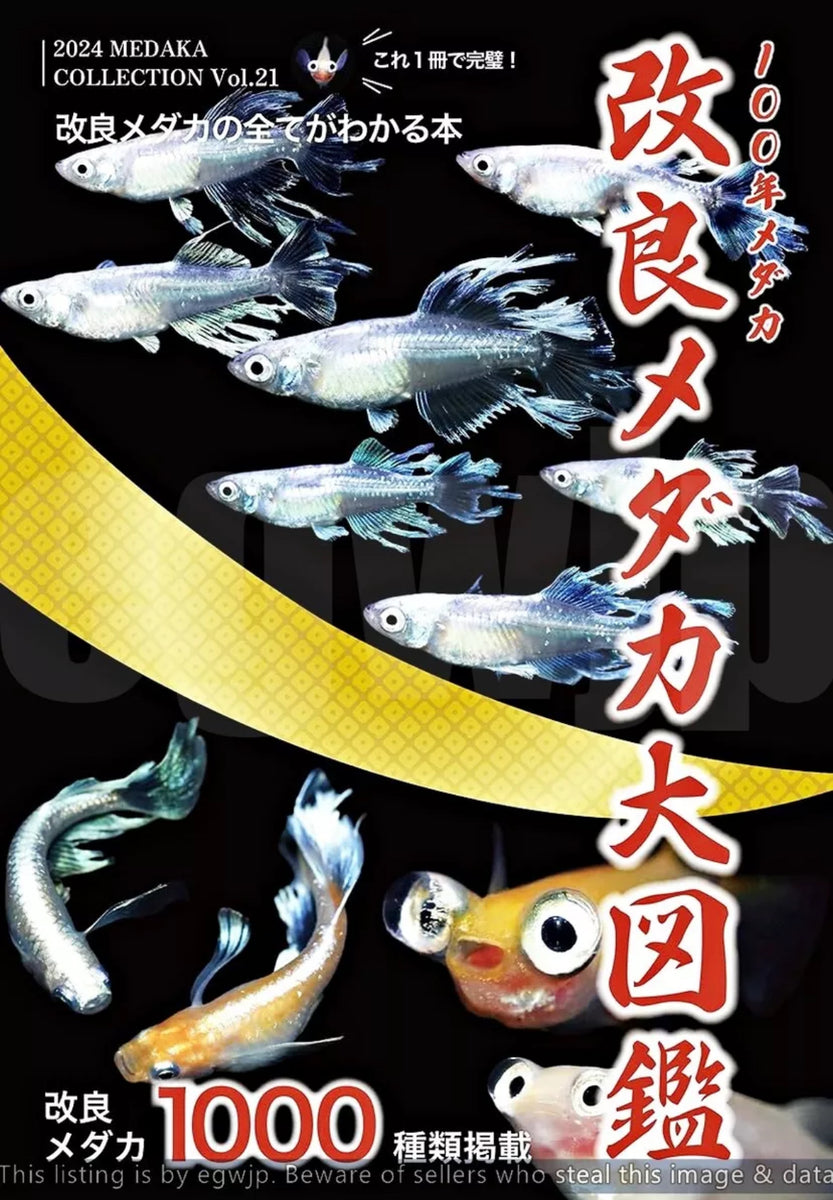 Medaka varieties Medaka Collection 2024 Japanese Rice Fish Catalog Mag ...