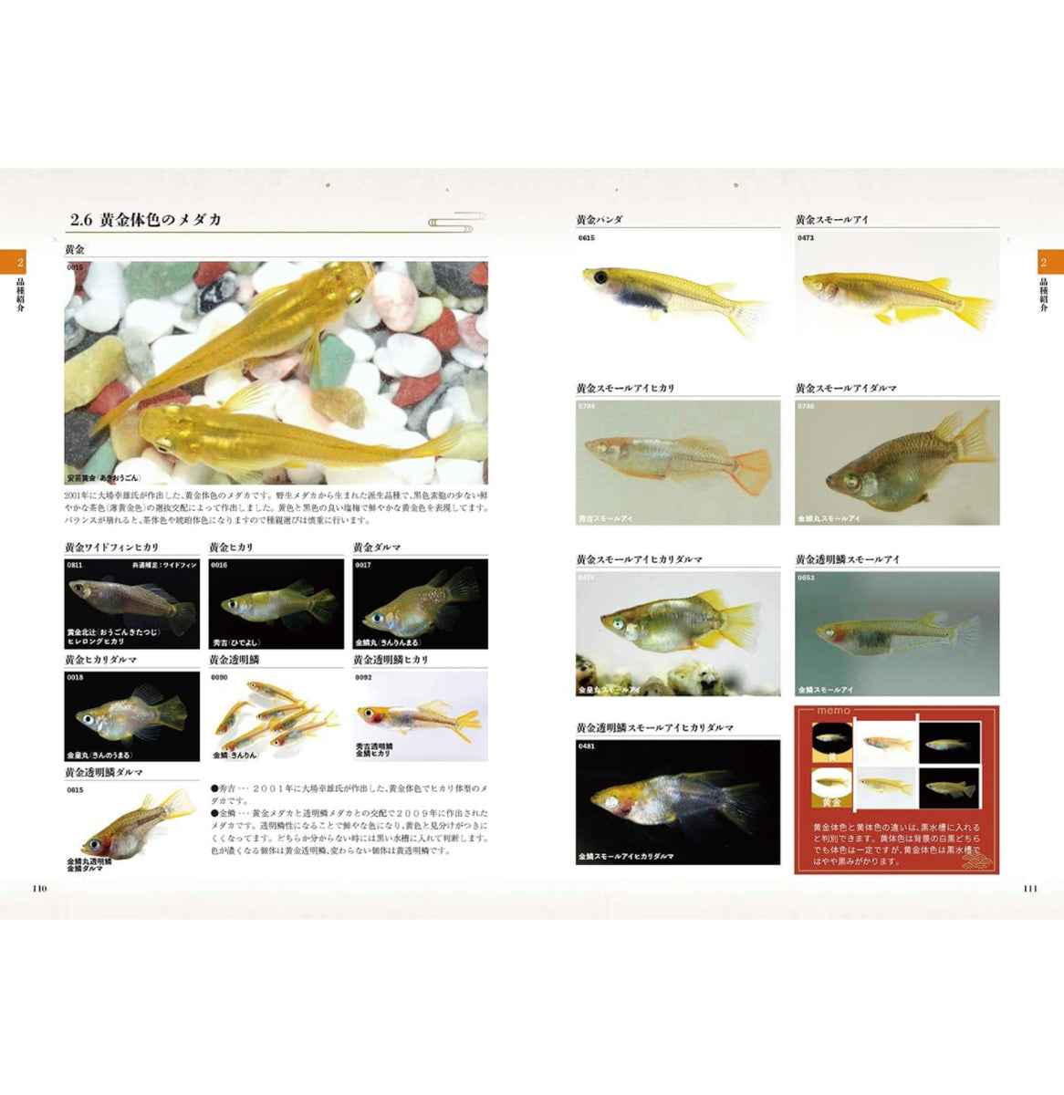 100 years of Medaka varieties Medaka Collection 2023 Book Japanese Ric ...